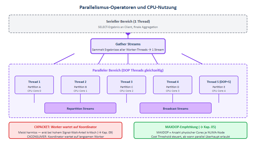 SQL Server Performance - Query Performance & Ausführungspläne: | Ulrich ...